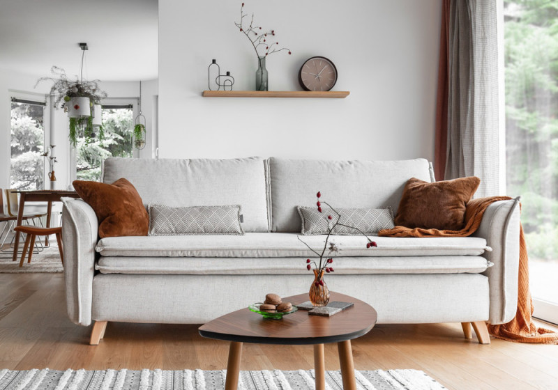 Charming Charlie Sofa Bed Slim